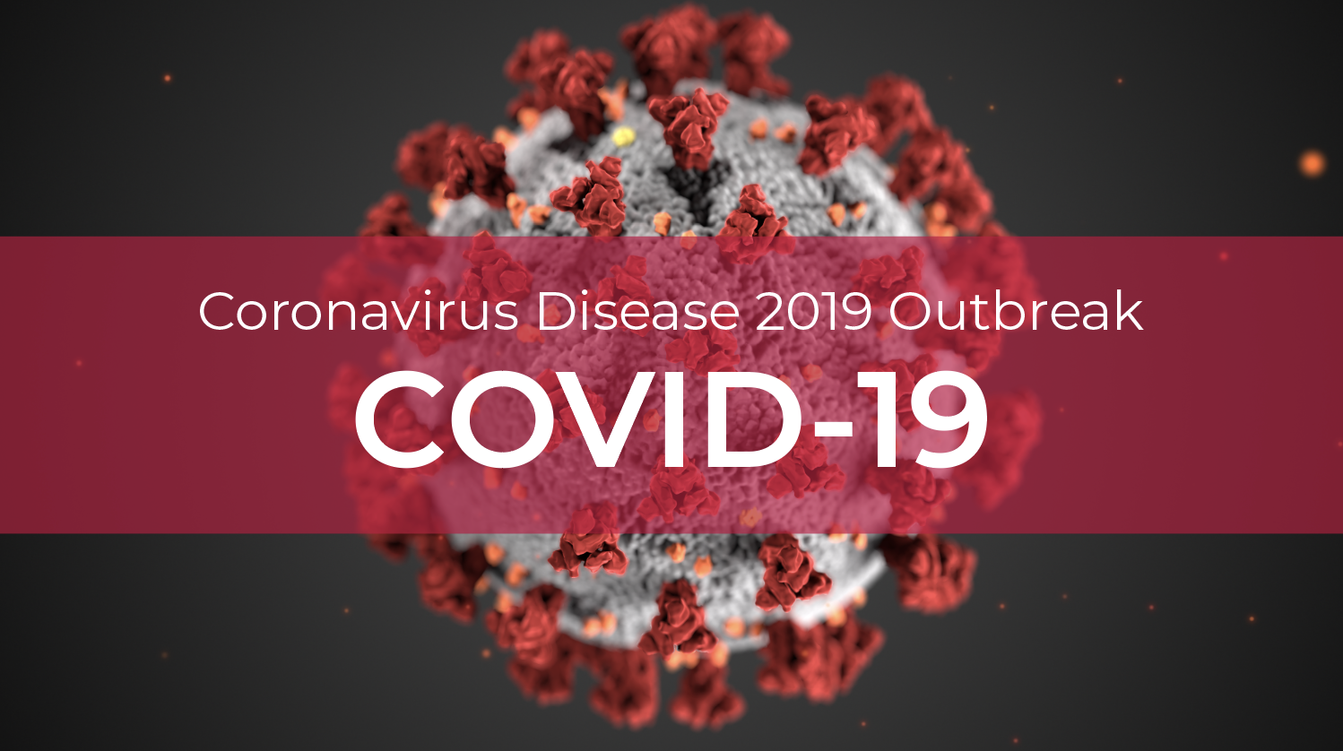 Recursos Pandemia COVID 19 Secal Recursos Pandemia COVID 19 Secal